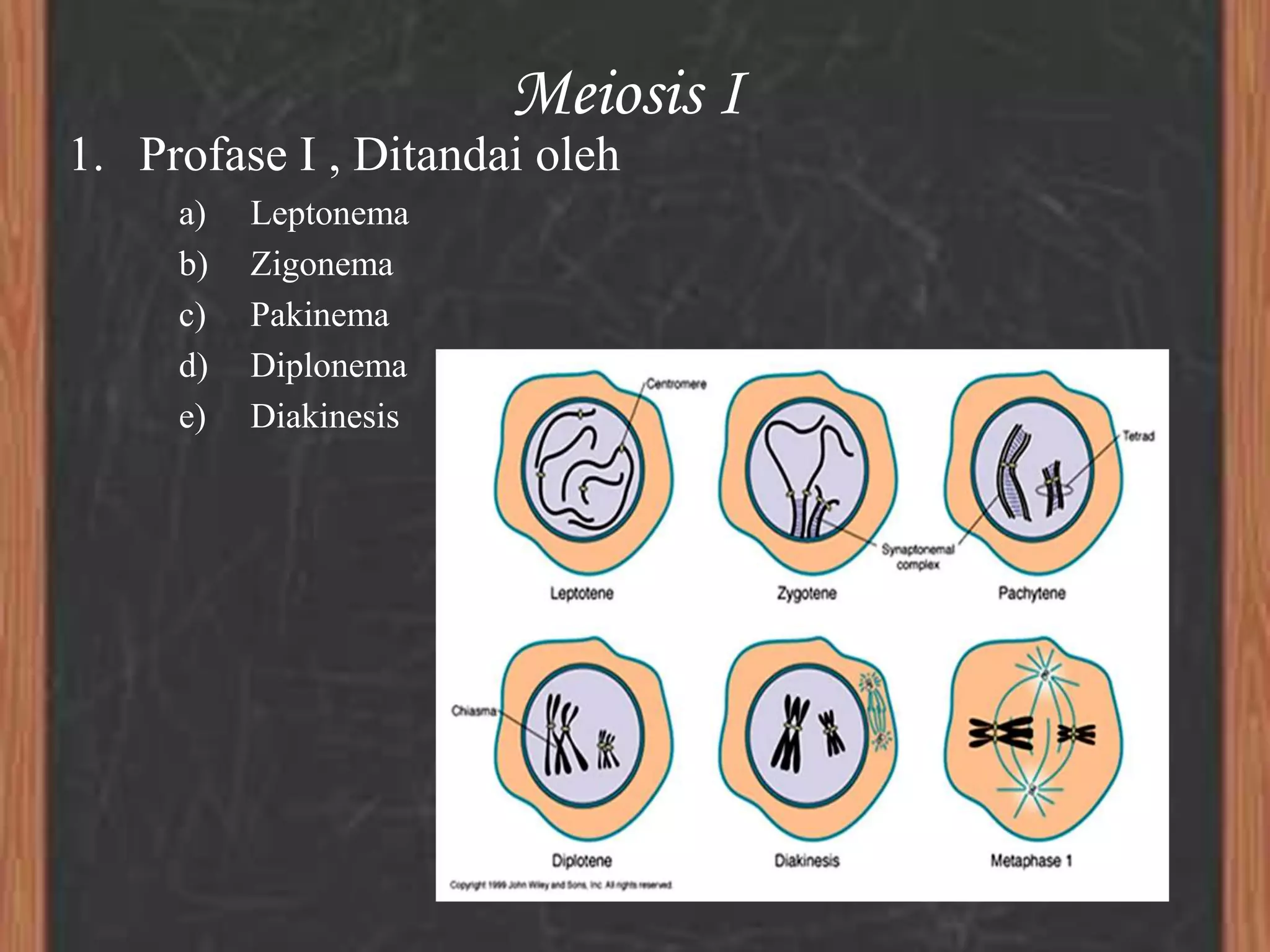 Pembelahan sel secara meiosis | PPTX