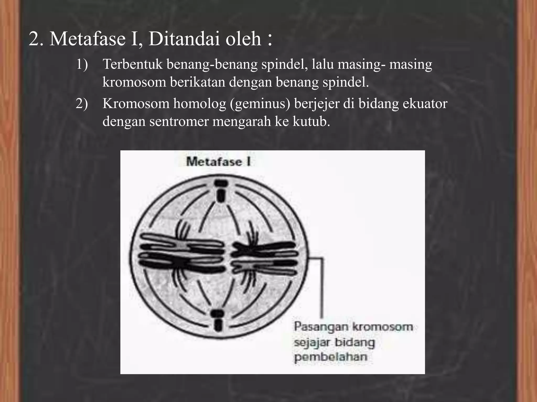 Pembelahan sel secara meiosis | PPTX