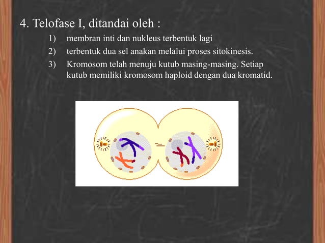Pembelahan sel secara meiosis | PPTX