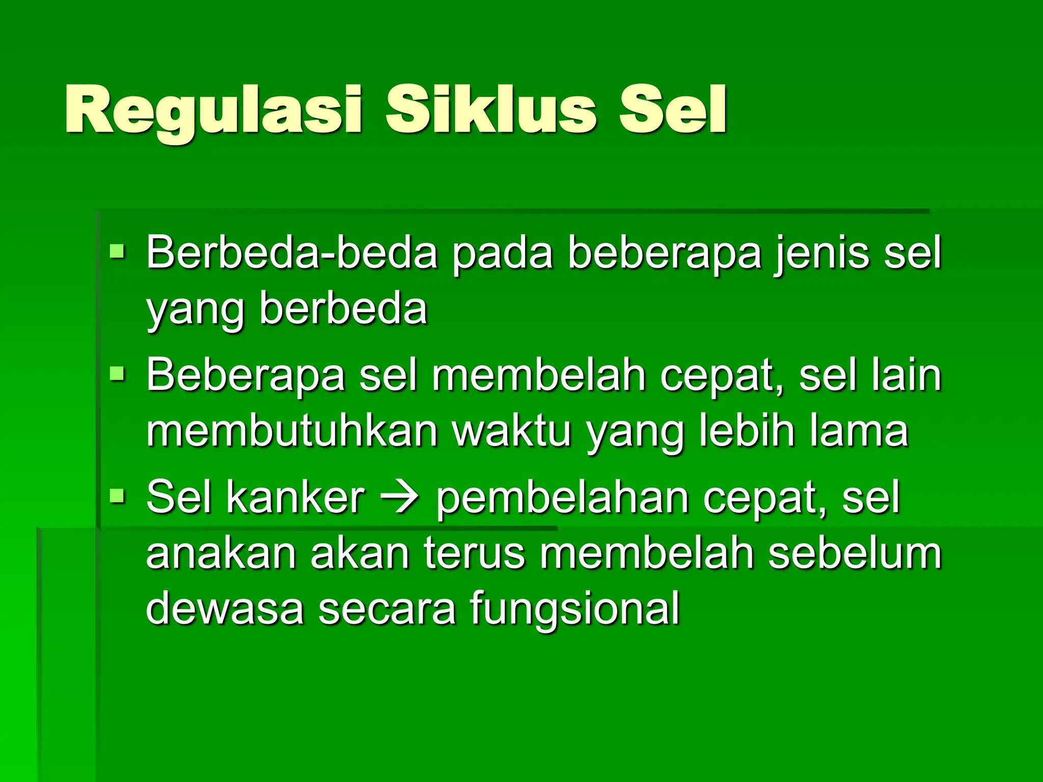 Pembelahn Sel mitosis-meiosis.ppt
