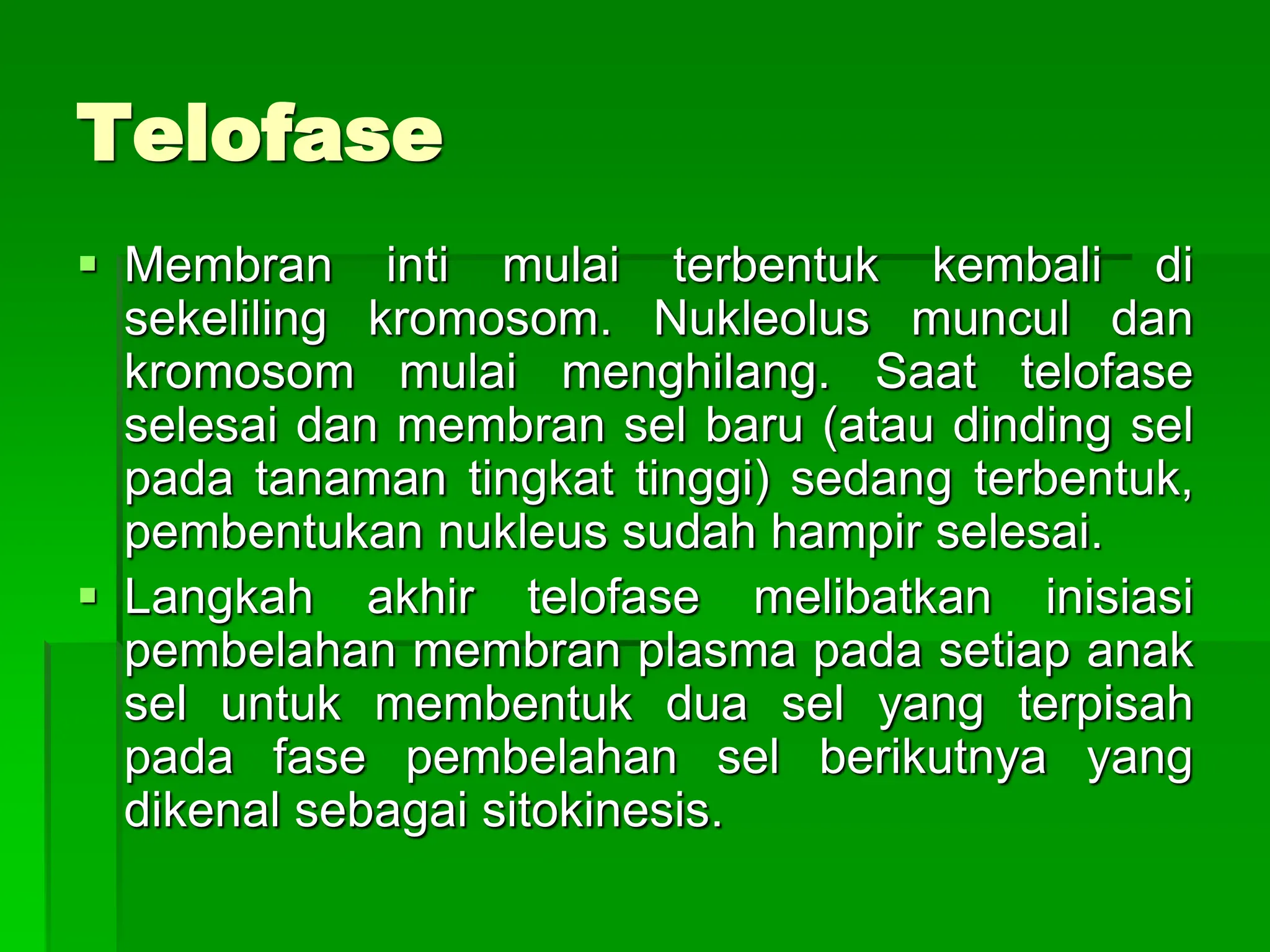 Pembelahn Sel mitosis-meiosis.ppt