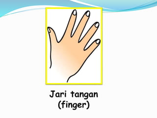 Pembelajaran bahasa inggris kelas 2 (anggota tubuh) | PPTX