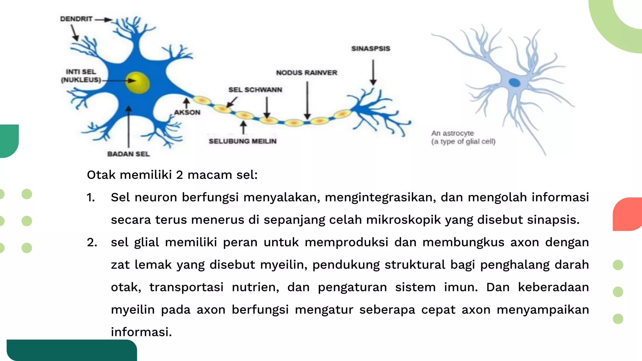 Pembelajaran Berbasis Neurosains.pptx