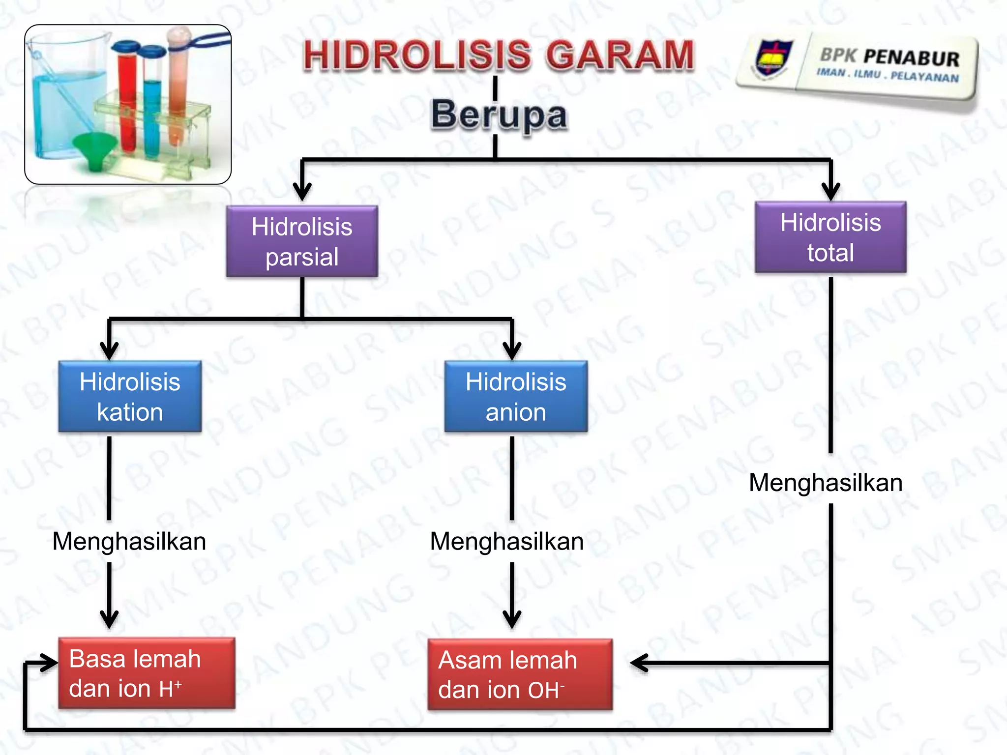Pembelajaran Hidrolisis | PPT
