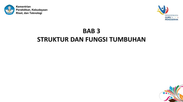 Pembelajaran IPA - Struktur dan Fungsi Tumbuhan1.pptx