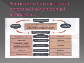 Pembentangan | PPTX