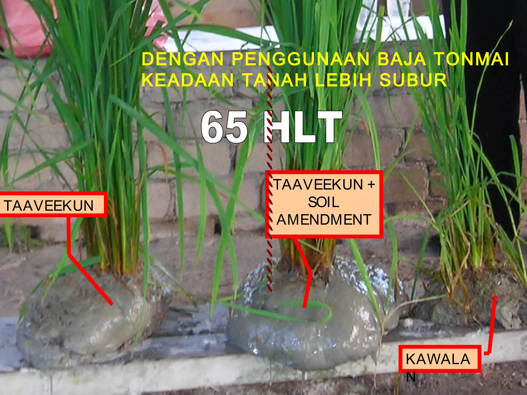 Pembentangan baja pemulihan tanah jk teknikal bantuan kerajaan | PPT