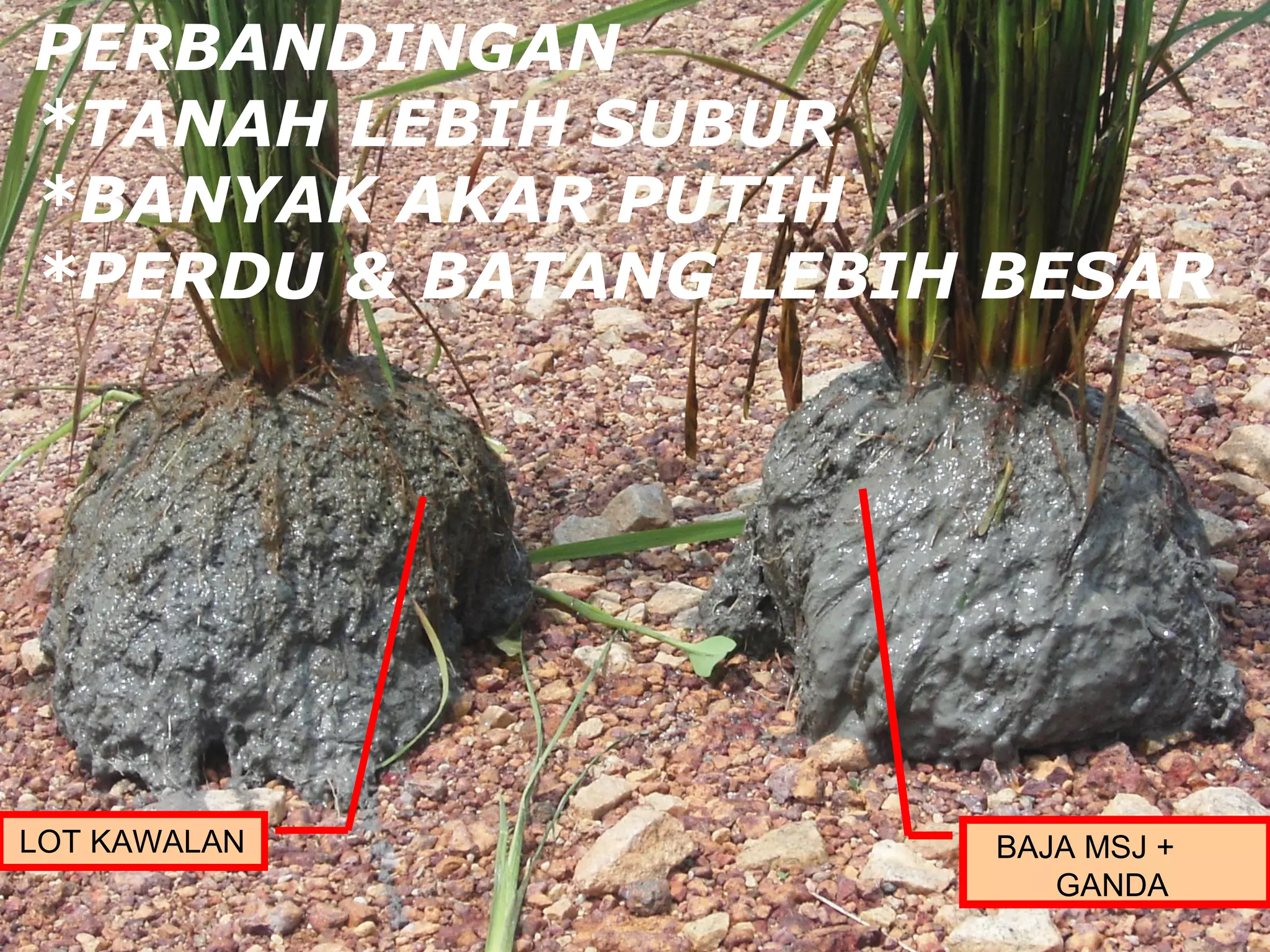 Pembentangan baja pemulihan tanah jk teknikal bantuan kerajaan | PPT