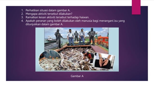 Pembentangan RPH Sains Tahun 6: Pemeliharaan dan Pemuliharaan pptx | PPTX