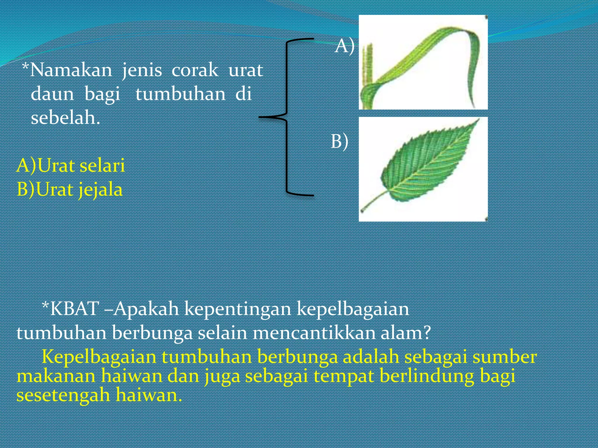 Pembentangan sains bab 3 | PPTX