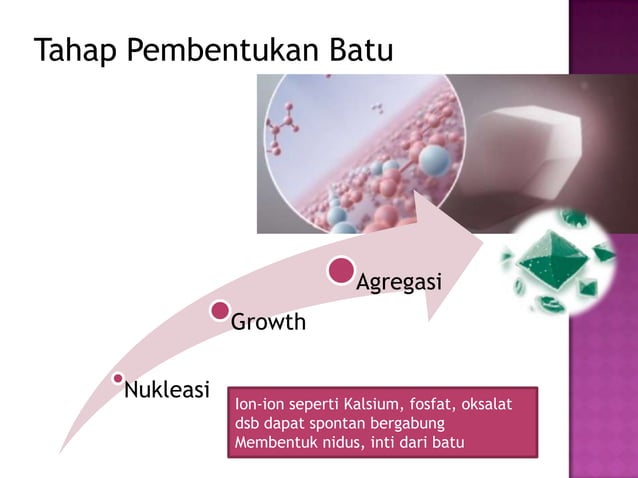 Pembentukan batu kemih 2013 | PPT | Free Download