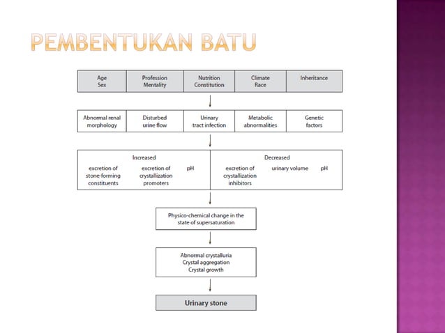 Pembentukan batu kemih 2013 | PPT