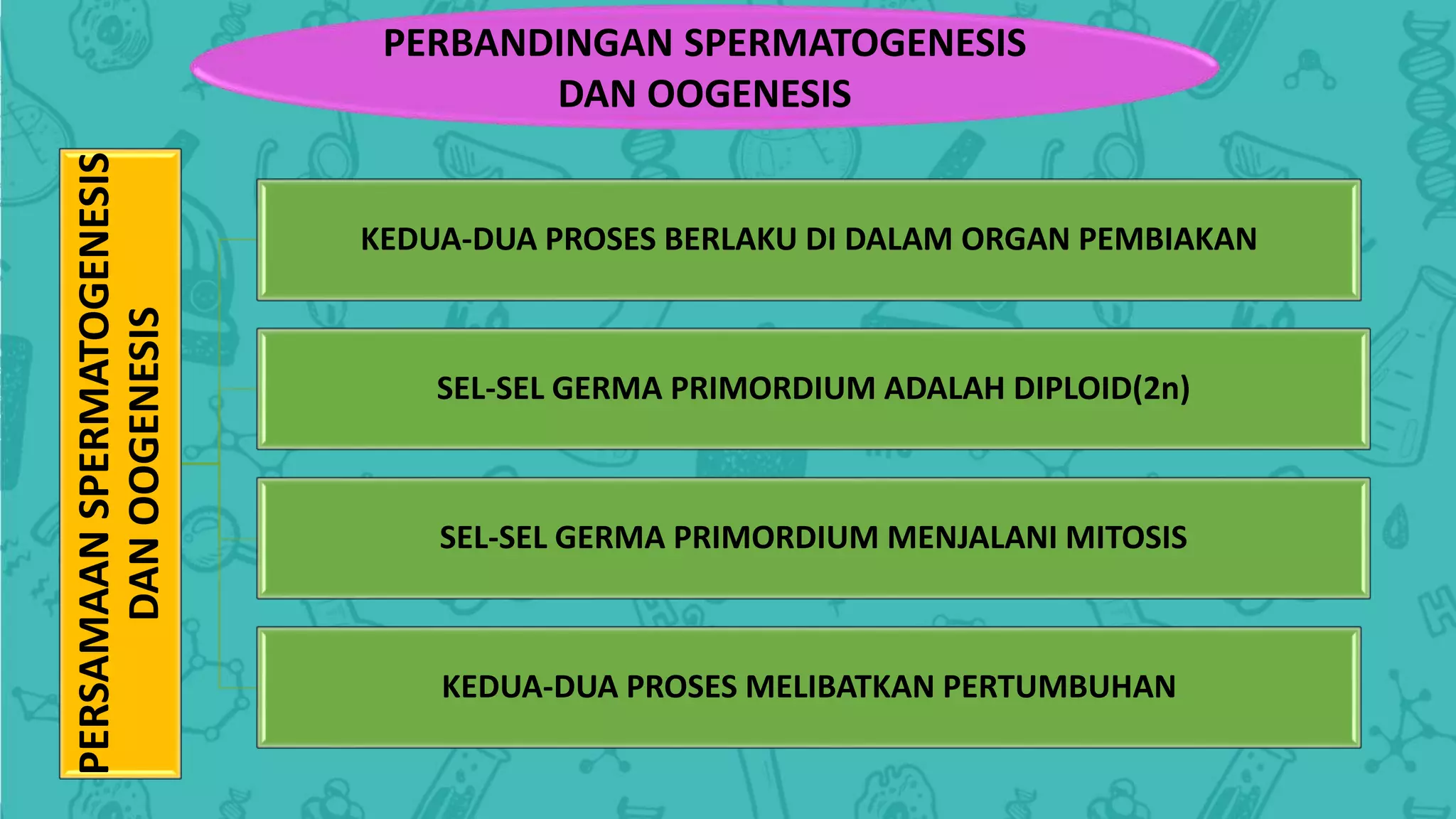 Pembentukan gamet dalam pembiakan manusia | PPTX