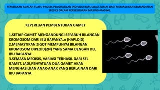Pembentukan gamet dalam pembiakan manusia | PPTX