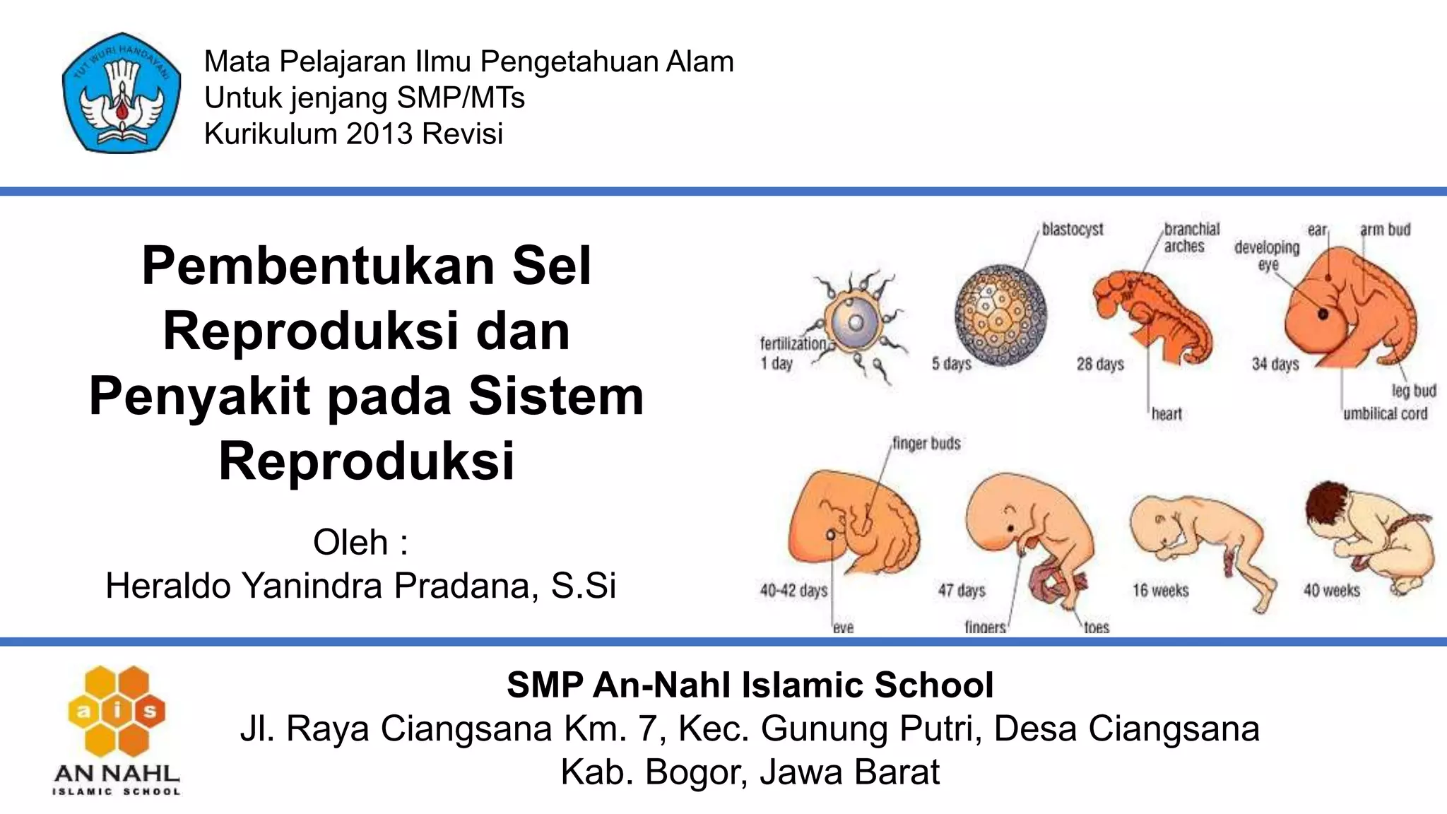 Pembentukan Sel Reproduksi serta Kelainan pada Sistem Reproduksi ...