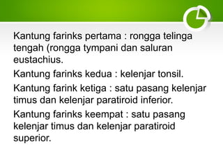 Pembentukan sistem pencernaan dan pernafasan | PPT