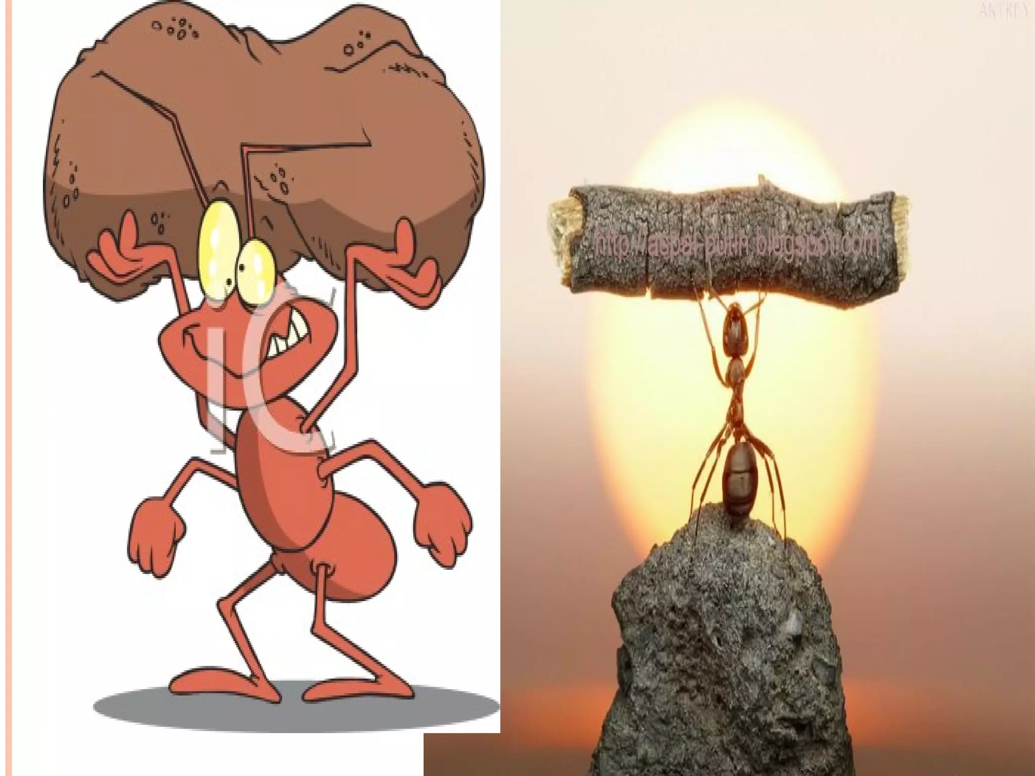 Pembentukan tim kerja | PPT