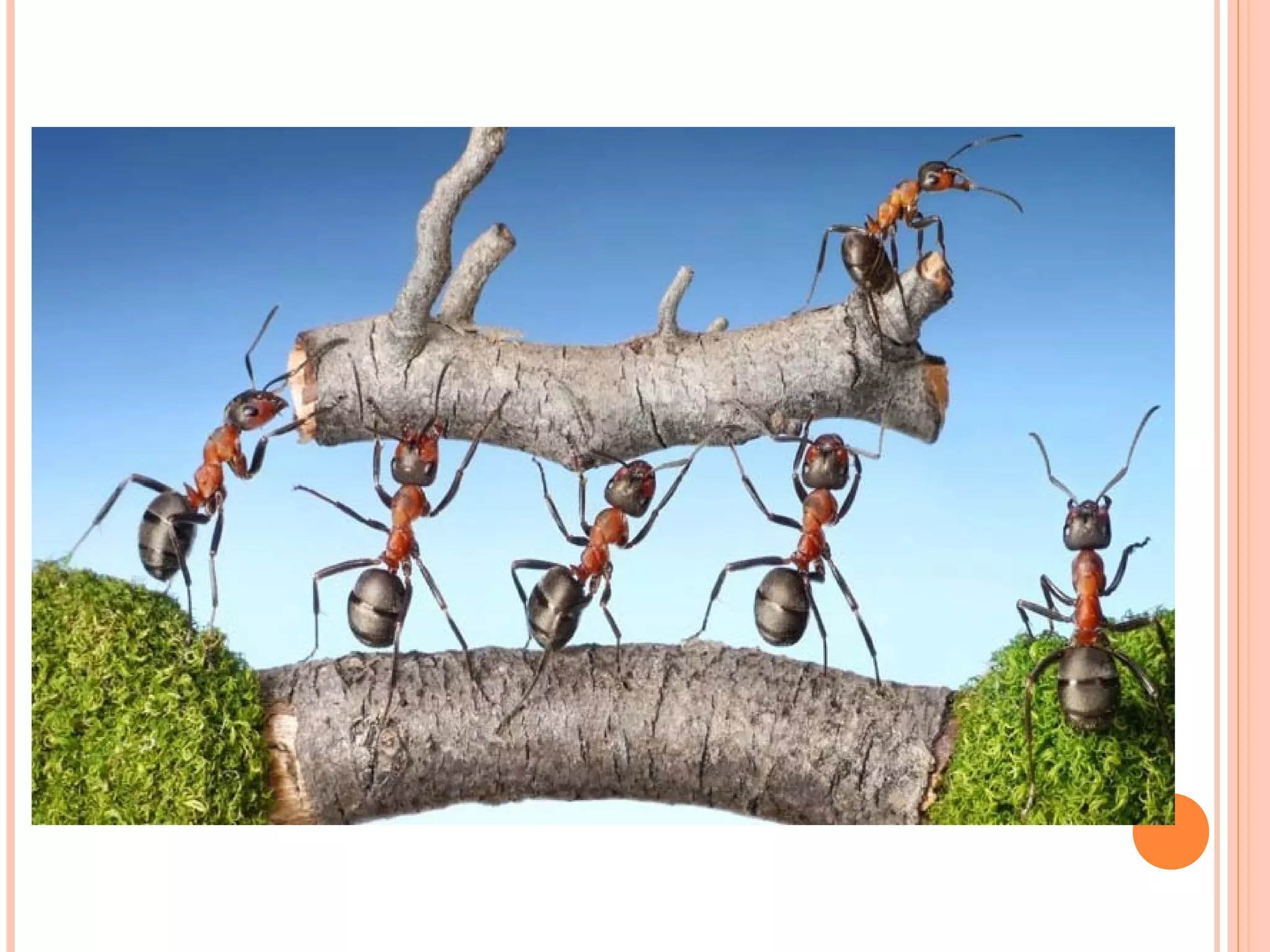 Pembentukan tim kerja | PPT