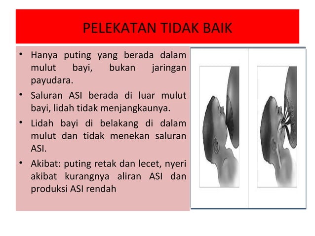 Pemberian makan bayi dan anak (pmba) | PPT