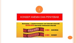 PEMBERIAN TTD DALAM UPAYA PENCEGAHAN ANEMIA PADA REMATRI.pptx