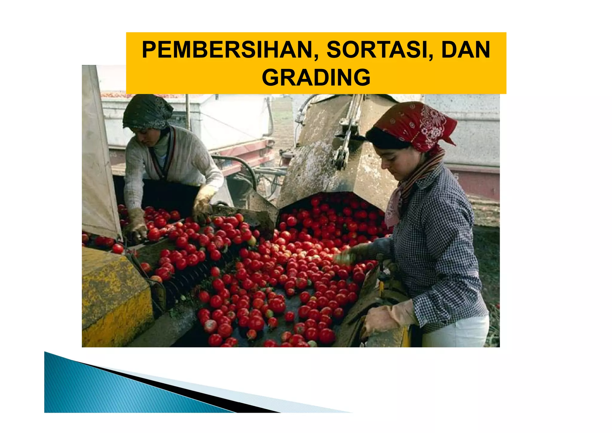 Pembersihan, Sortasi, dan Grading.pdf