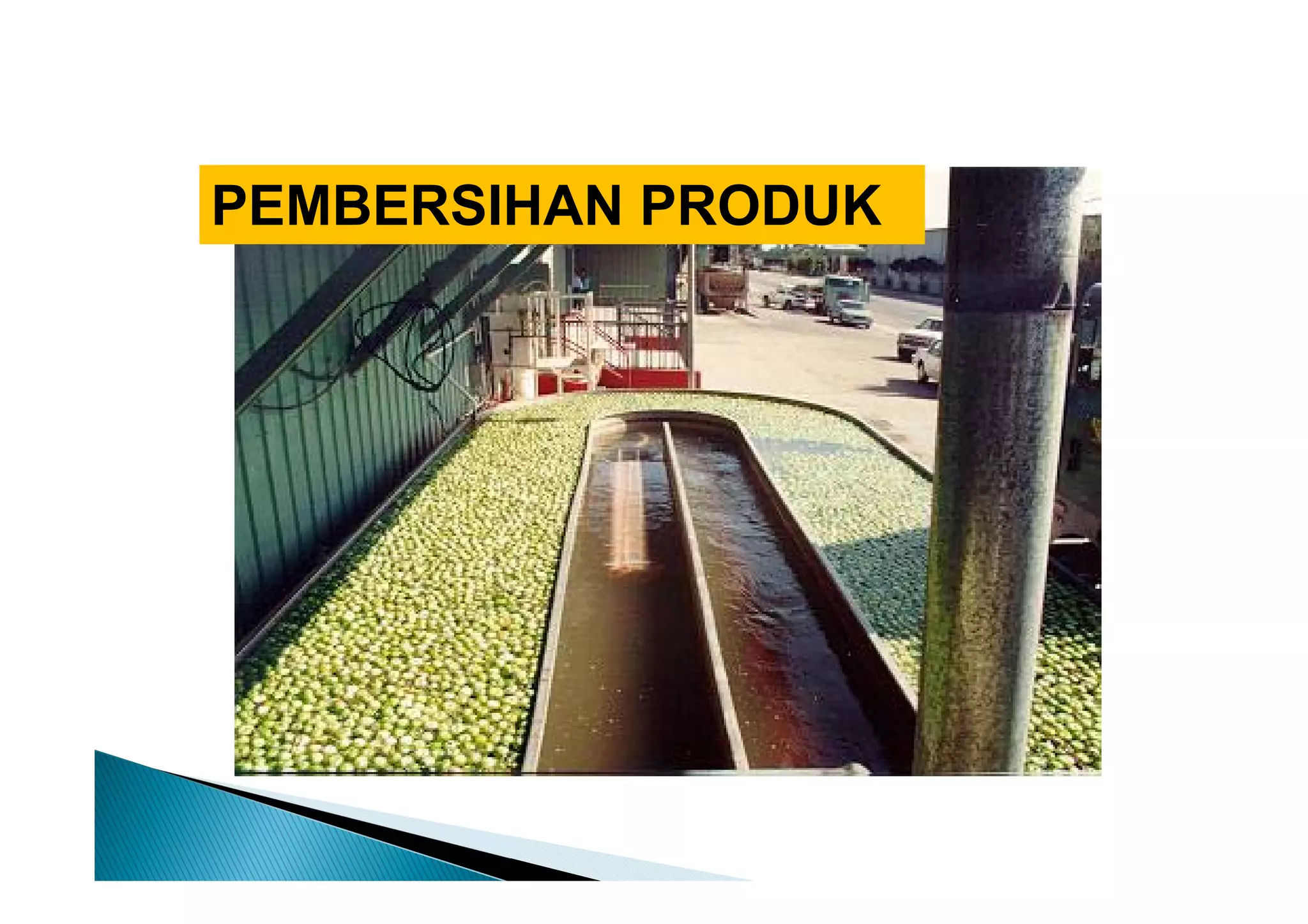 Pembersihan, Sortasi, dan Grading.pdf