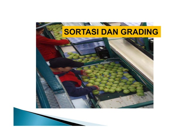 Pembersihan, Sortasi, dan Grading.pdf