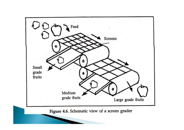 Pembersihan, Sortasi, dan Grading.pdf
