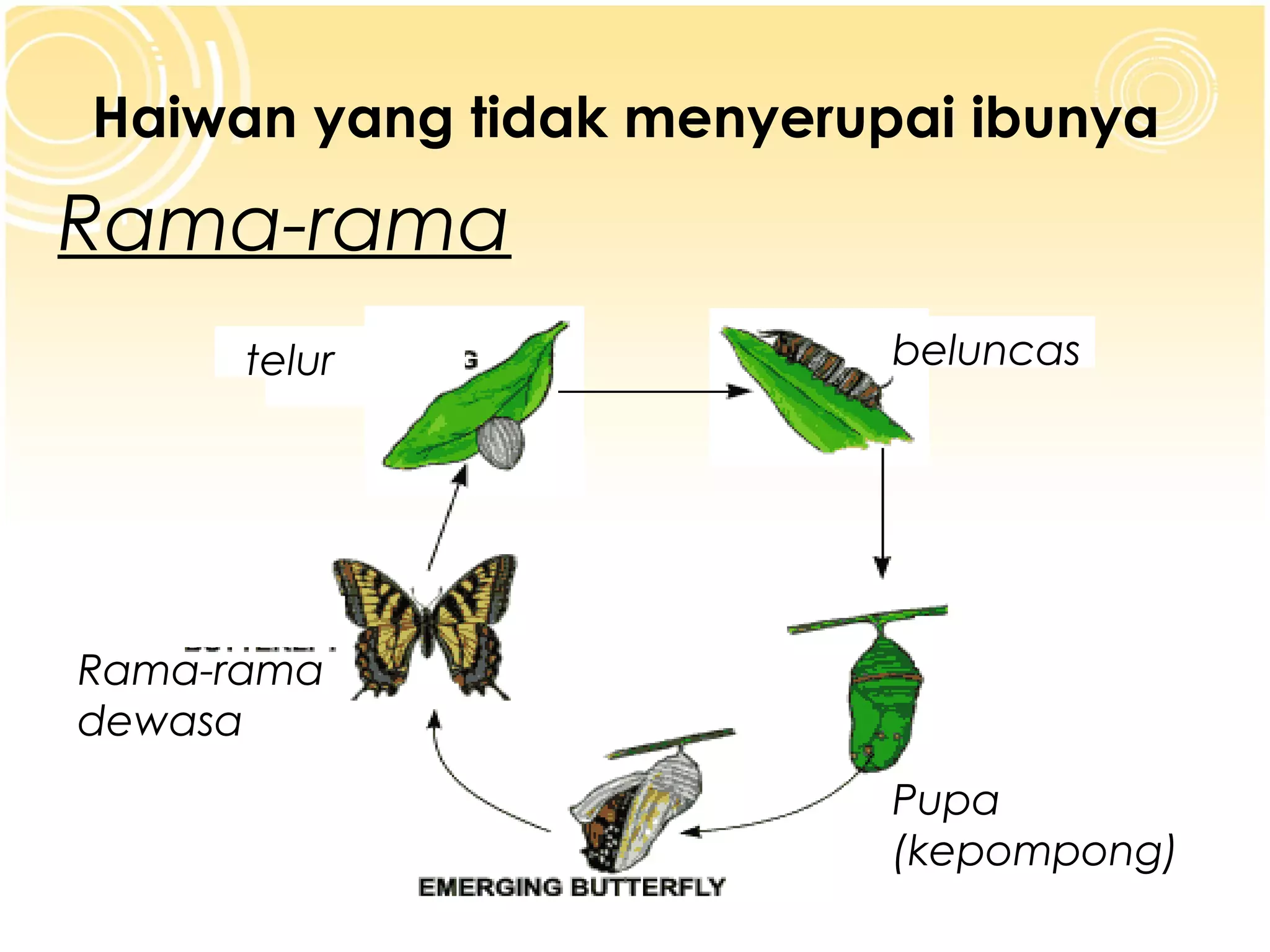 DST TAHUN 2 : PEMBIAKAN HAIWAN | PPT