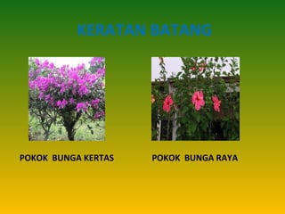 Pembiakan tumbuhan | PPT