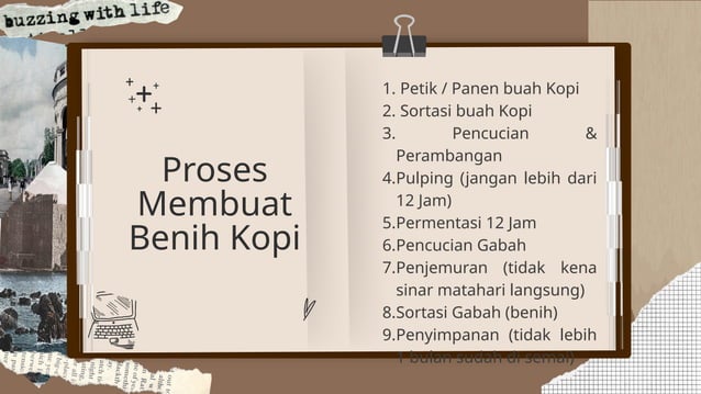 Pembibitan Generatif Tanaman Kopi yang tradisional dan modern | PPTX