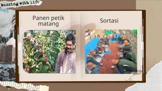 Pembibitan Generatif Tanaman Kopi yang tradisional dan modern | PPTX