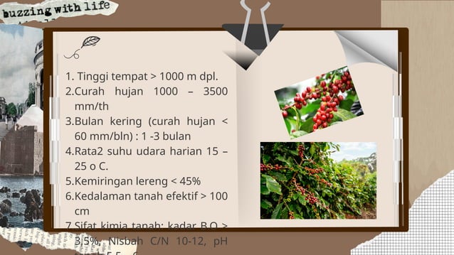 Pembibitan Generatif Tanaman Kopi yang tradisional dan modern | PPTX