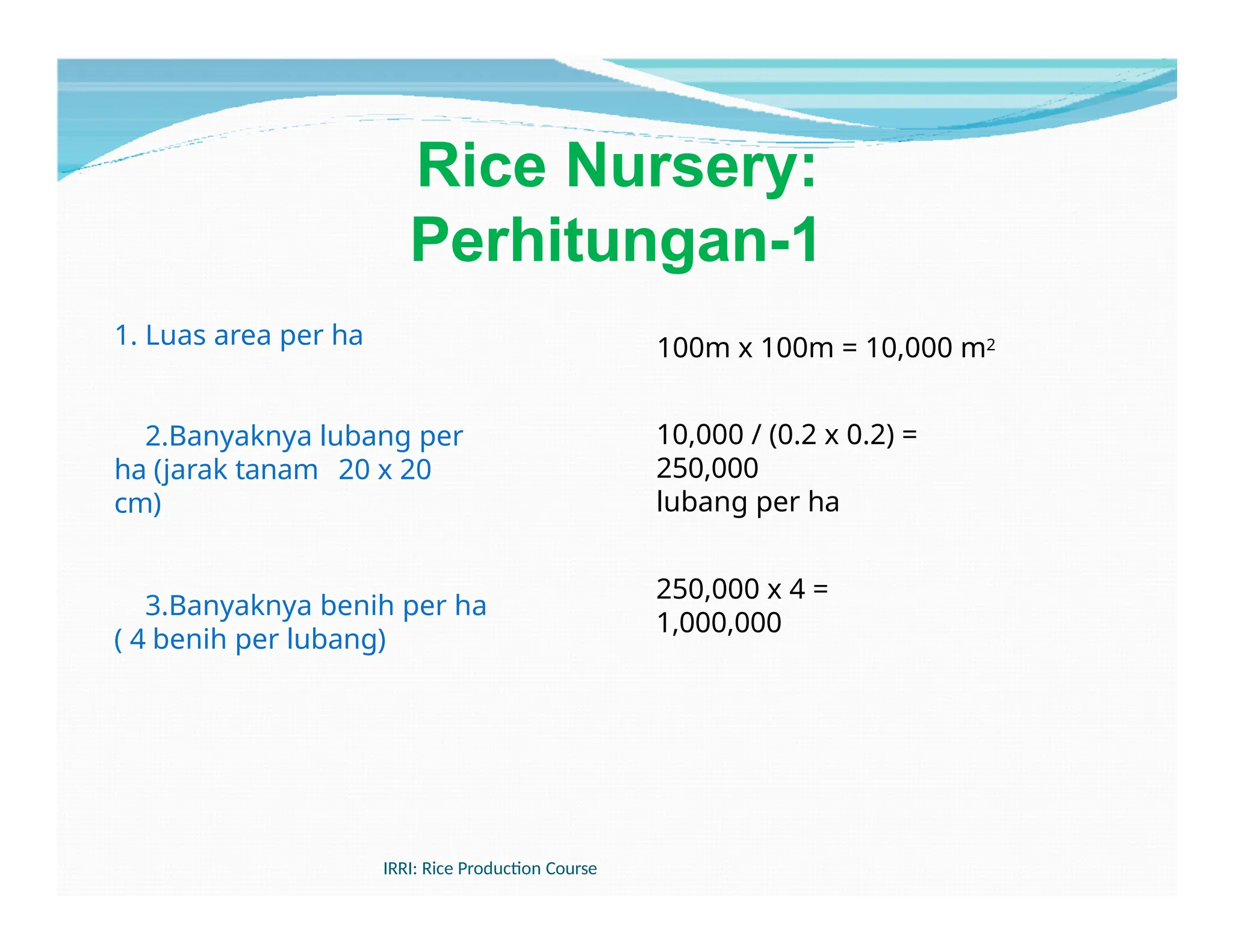Pembibitan Padi Sistem Dapog.pptxAAAAAAAA | PPTX