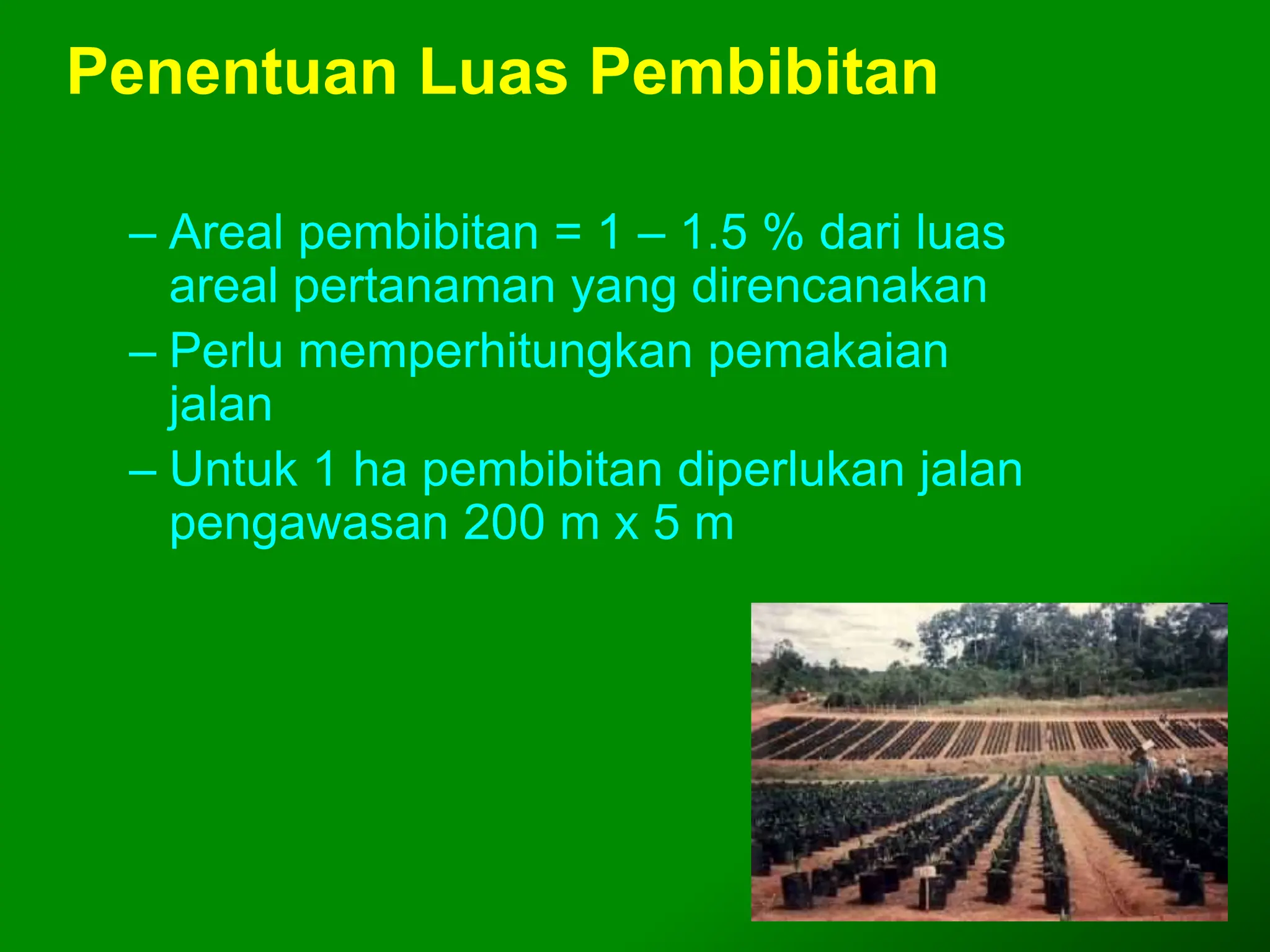 Tekhnik Pembibitan pohon kelapa sawit.ppt