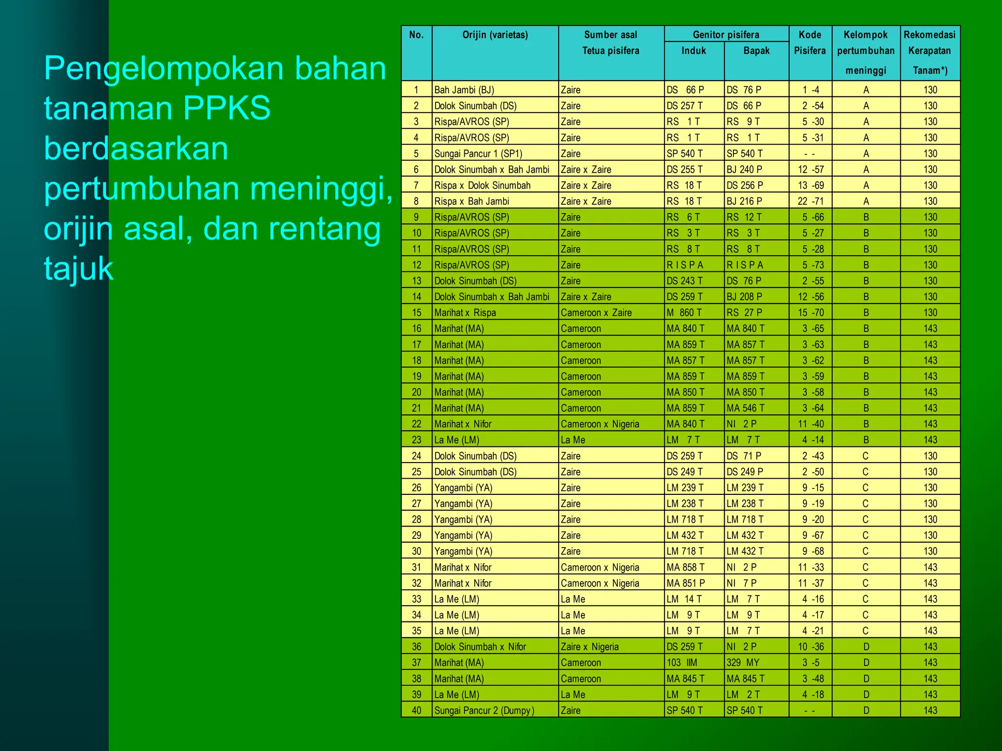 Tekhnik Pembibitan pohon kelapa sawit.ppt
