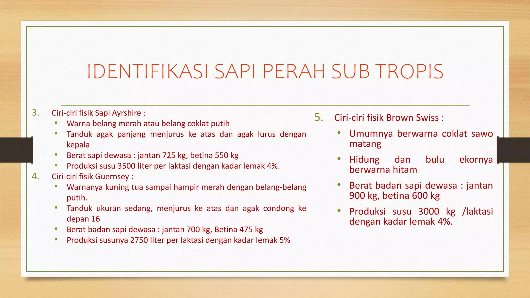 PEMBIBITAN TERNAK SAPI PERAH.pptx