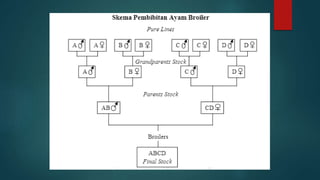 Pembibitan Unggas Kel 7 (Heni Sri Mariati dan Kholilatus Sa'diyah).pptx