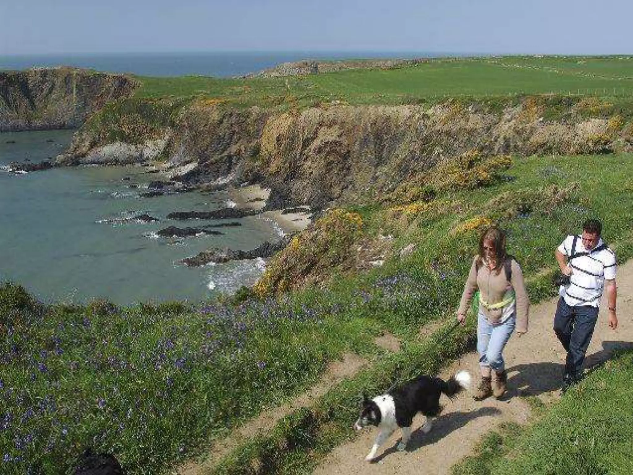 Pembrokeshire Tara Galilor | PPT