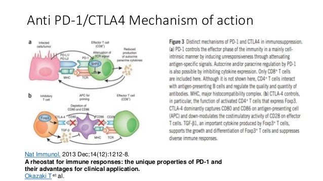Pembrolizumab (Keytruda®) Archives - Science Tech Updates
