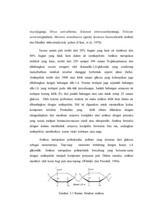 Pembuatan amilum | DOCX