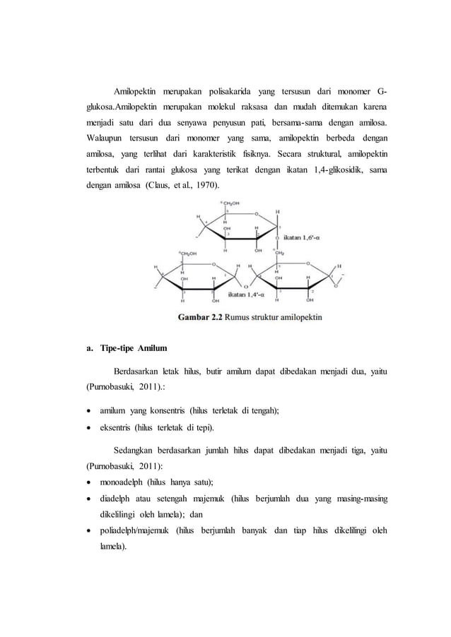 Pembuatan amilum | DOCX