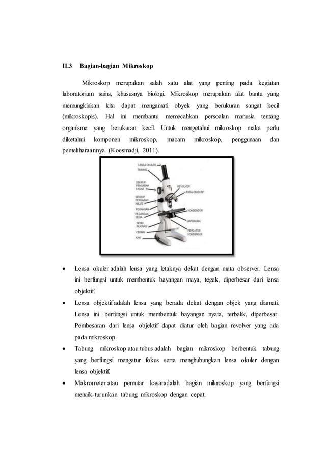 Pembuatan amilum | DOCX