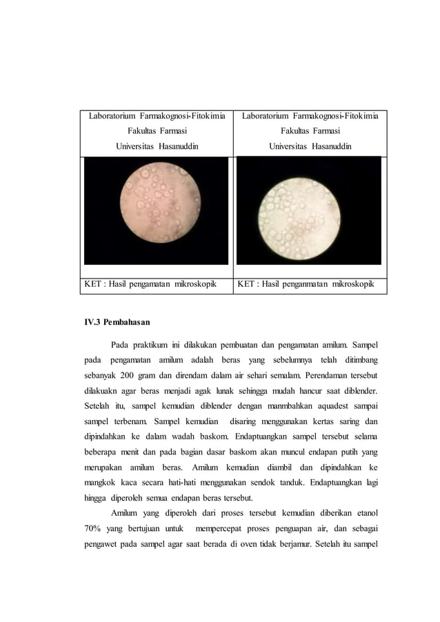 Pembuatan amilum | PDF
