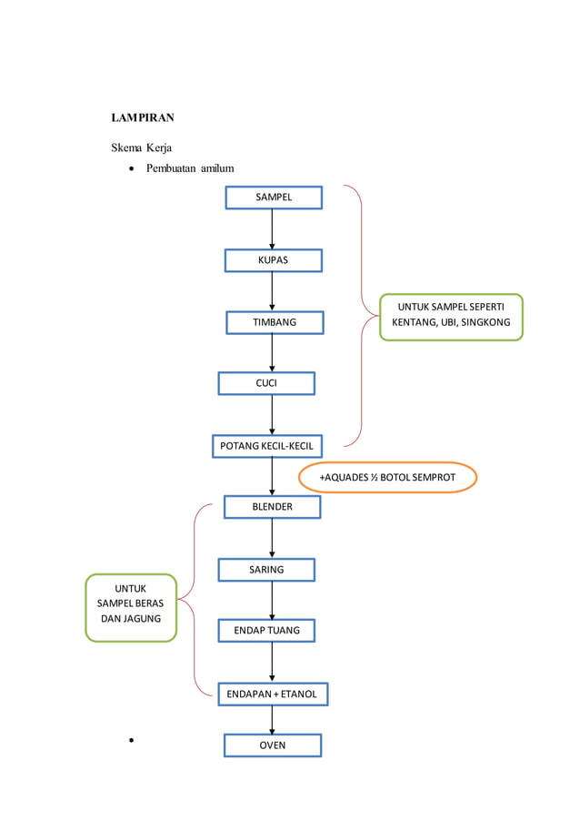 Pembuatan amilum | PDF