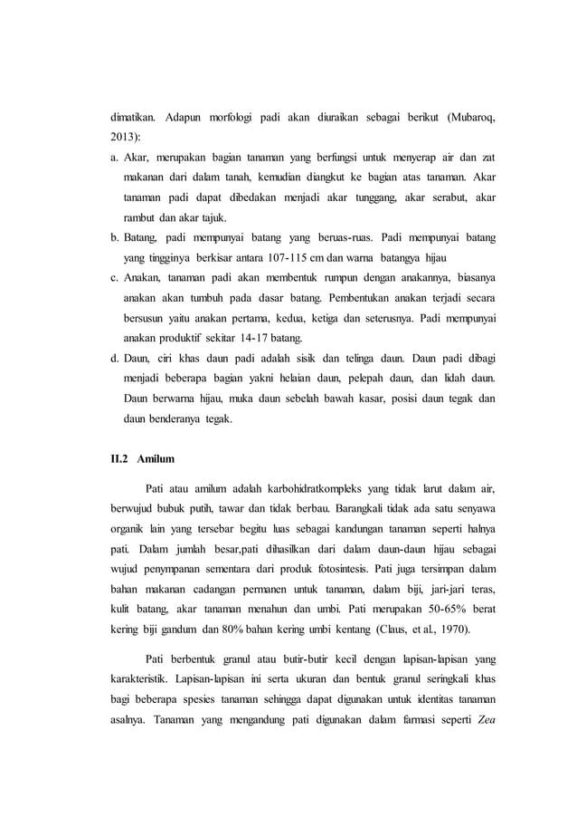 Pembuatan amilum | PDF