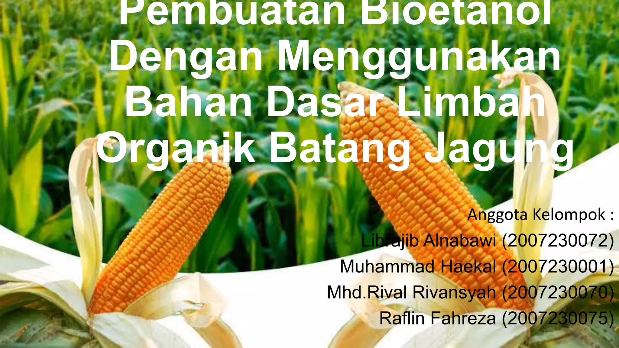 Pembuatan Bioetanol Dengan Menggunakan Bahan Dasar Limbah Organik ...