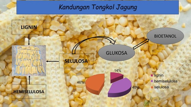 Pembuatan Bioetanol Dengan Menggunakan Bahan Dasar Limbah Organik ...