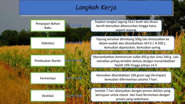 Pembuatan Bioetanol Dengan Menggunakan Bahan Dasar Limbah Organik ...