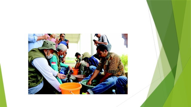 Pembuatan biosaka.pptx untuk budidaya tanaman | PPTX